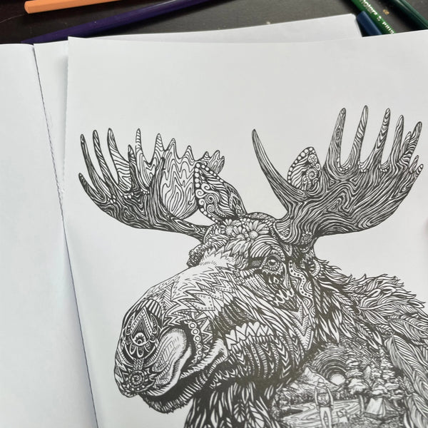 Busy Lizzy Coloring Book - handMADE Montana