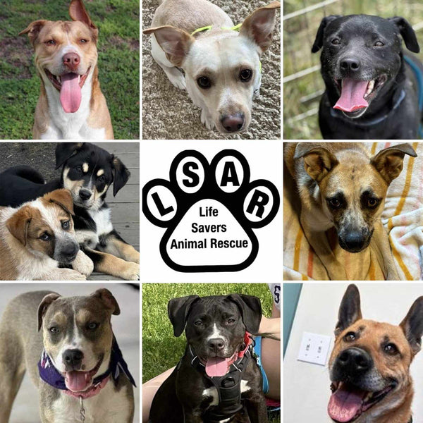 Life Savers Animal Rescue - handMADE Montana