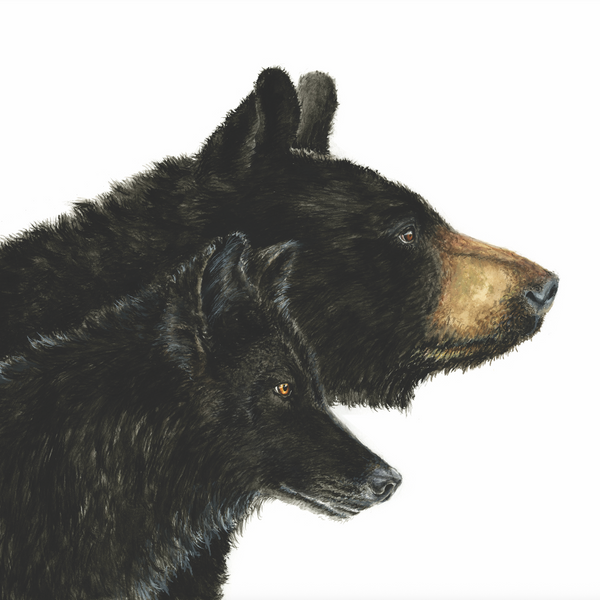Black Wolf & Black Bear - handMADE Montana