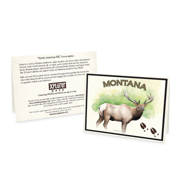 Xplorer Note Cards - handMADE Montana